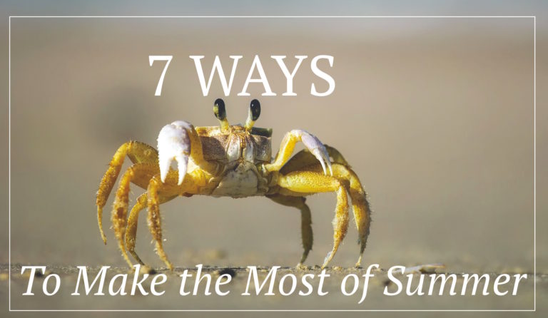 The Importance of Summer Days – Modern Catholic Mom